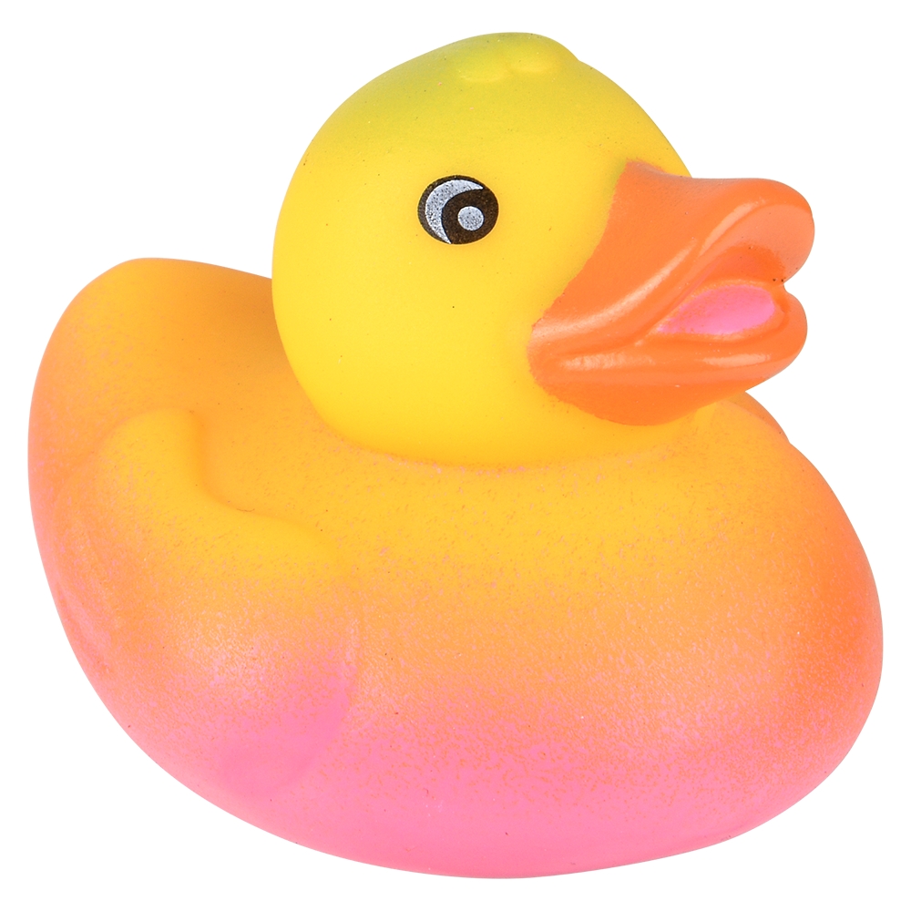Rainbow Ducks 2"